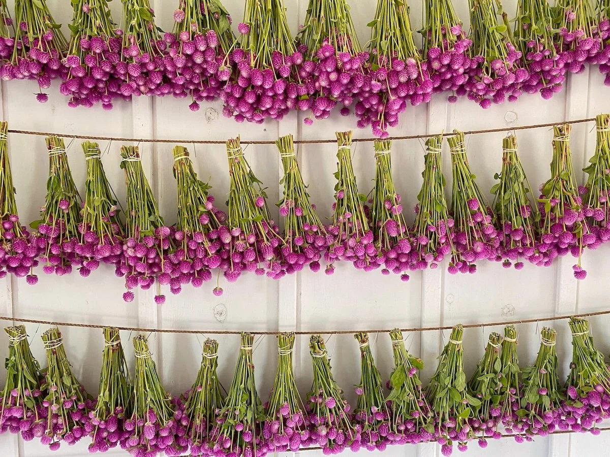 Iowa Flower Farm & Lavender Farm | PepperHarrow Farm