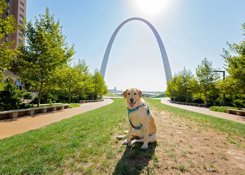 Are Dogs Allowed At The Gateway Arch