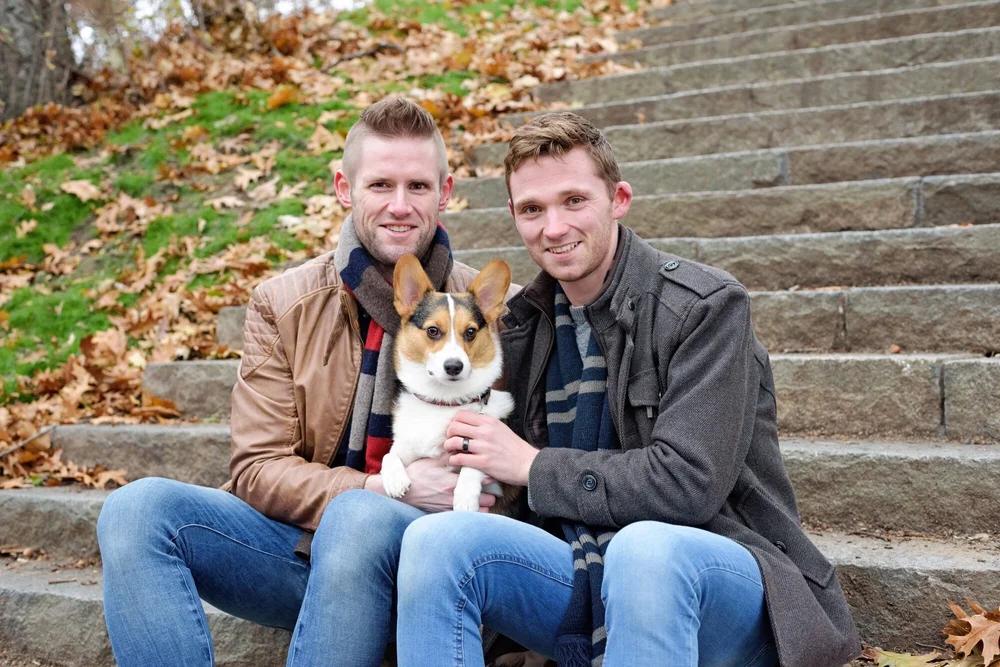Benny the Corgi | Boston MA Dog Portraits — With Love & Oats ...