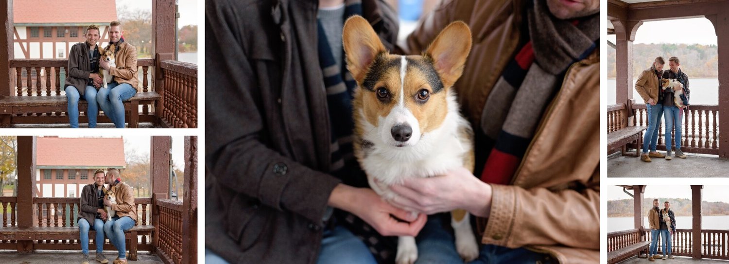 Benny the Corgi | Boston MA Dog Portraits — With Love & Oats ...