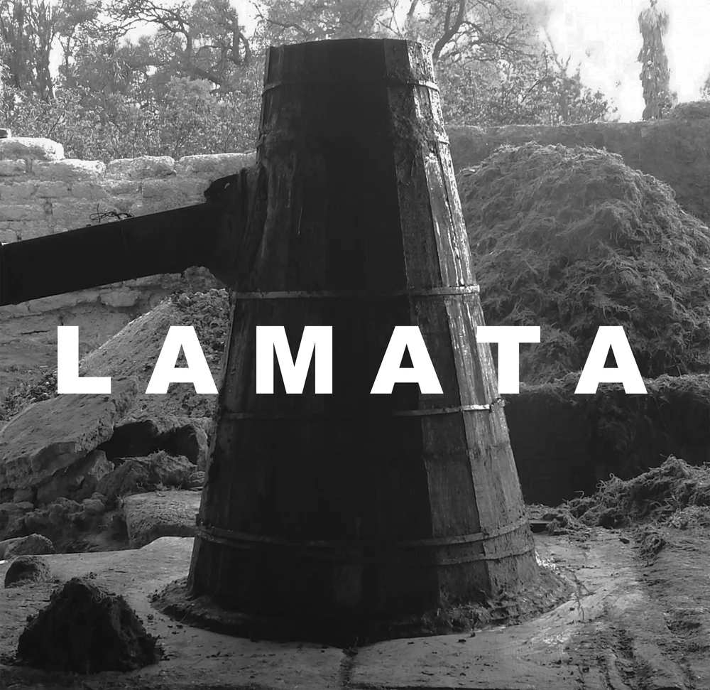 Lamata — Of Spine and Vine