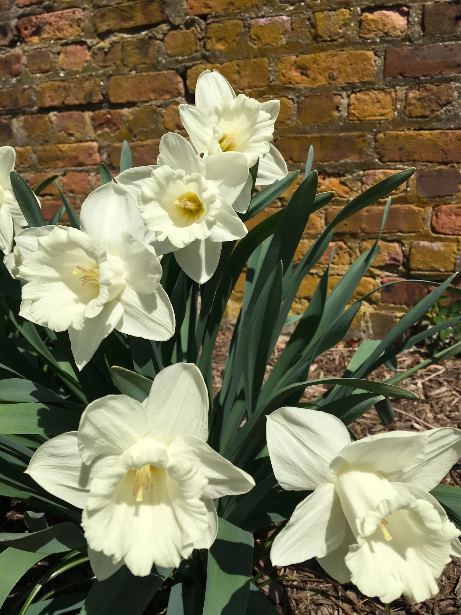 Morven Museum & Garden