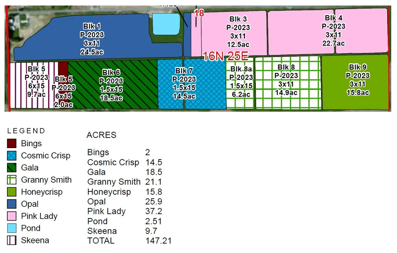 Valliente Orchard — Royal Bluff Orchards