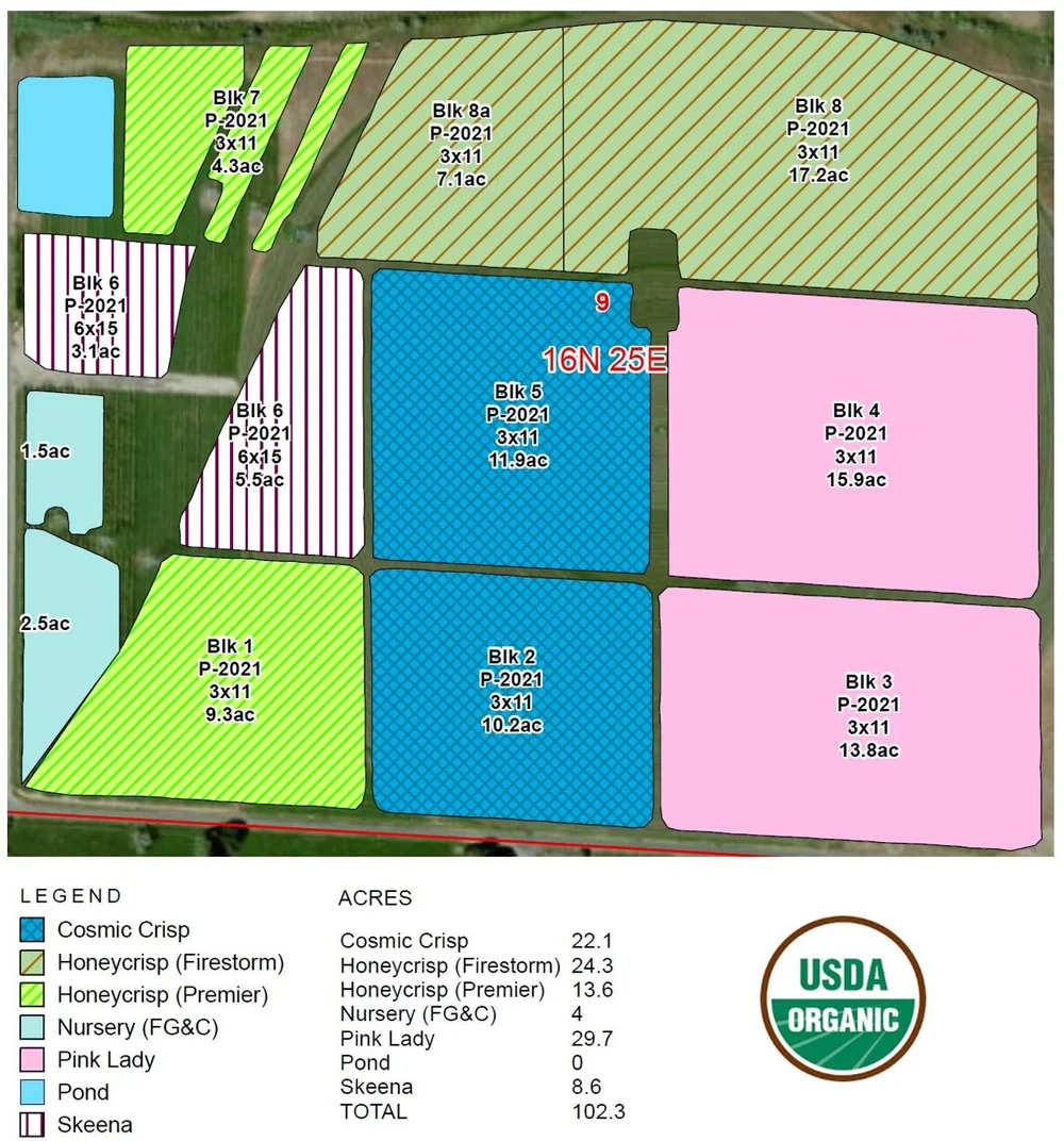 Falcon Ridge Orchard — Royal Bluff Orchards