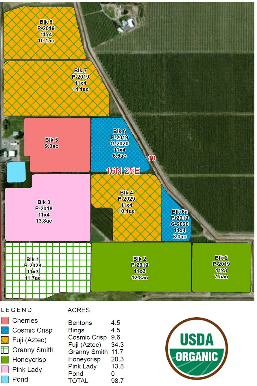 Royal Columbia Orchard — Royal Bluff Orchards