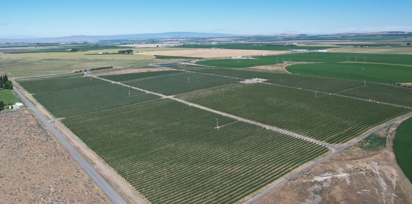 Falcon Ridge Orchard — Royal Bluff Orchards