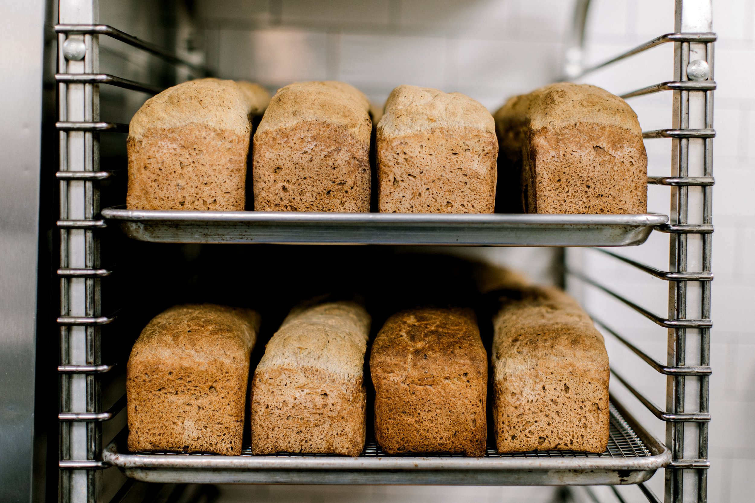 Fount Coffee + Kitchen