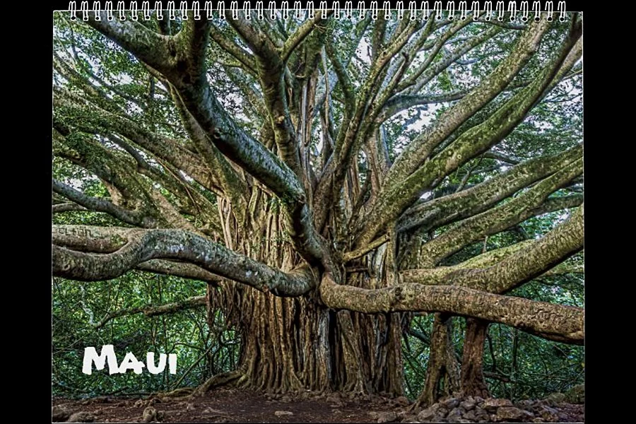 Fine Art Photography of Beautiful Places by Kelley King