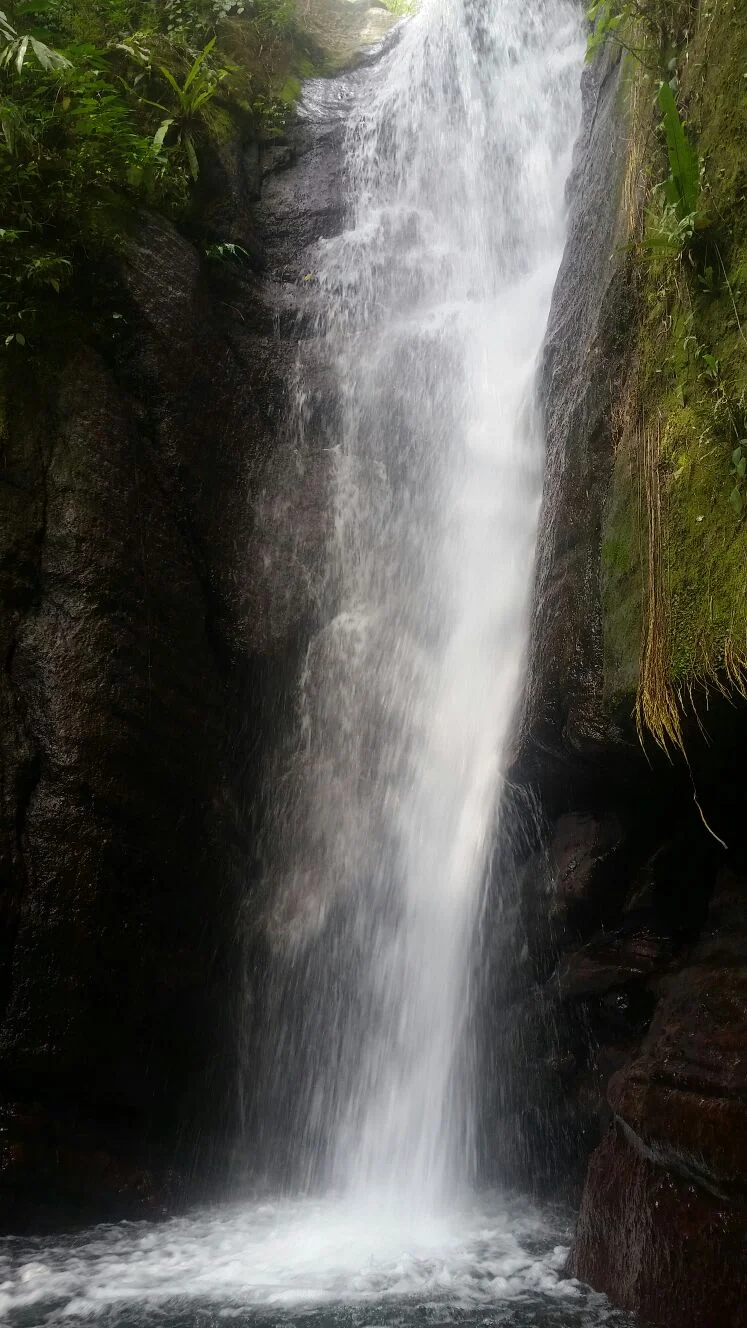 Falling Edge Falls - A Divine Spot in Stony Hill — Nature's Sweet Escapes