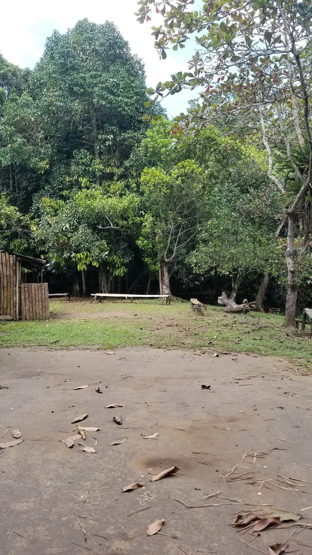 Why I love Calby’s Hidden Beauty River So Much — Nature's Sweet Escapes