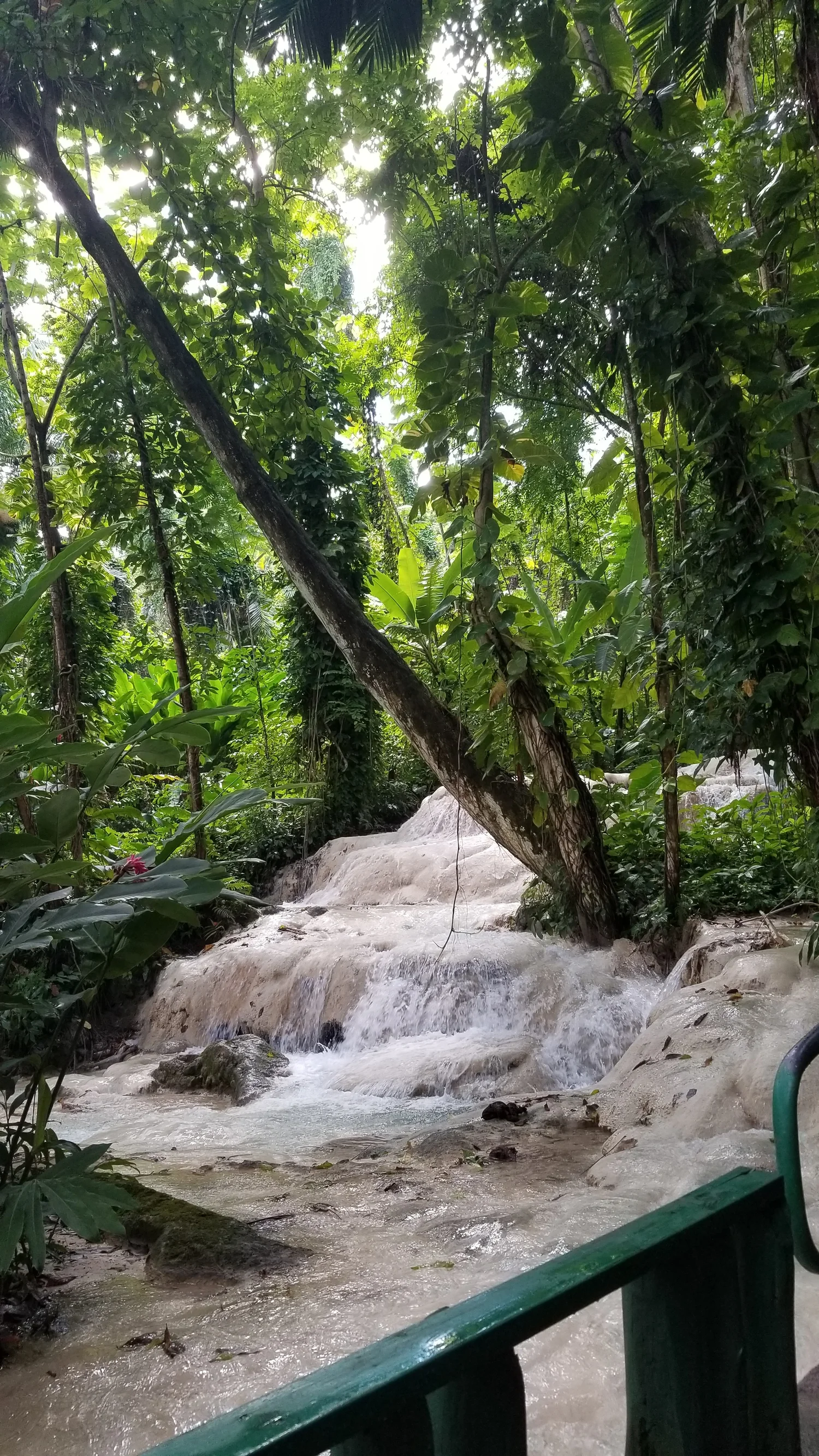 The timeless magic of Turtle River Waterfalls and Garden — Nature's ...