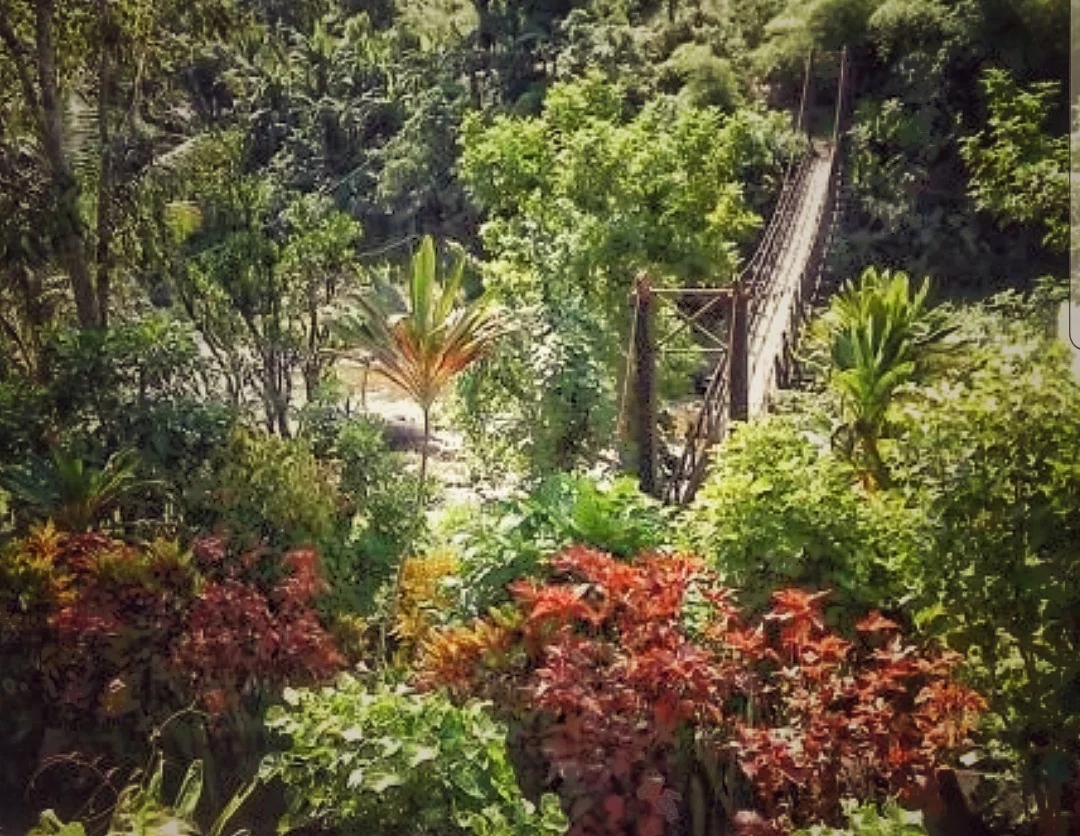 Hiking to Tacky Falls in St.Mary — Nature's Sweet Escapes