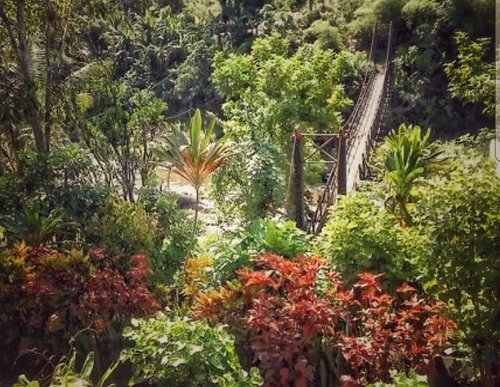 Hiking to Tacky Falls in St.Mary — Nature's Sweet Escapes