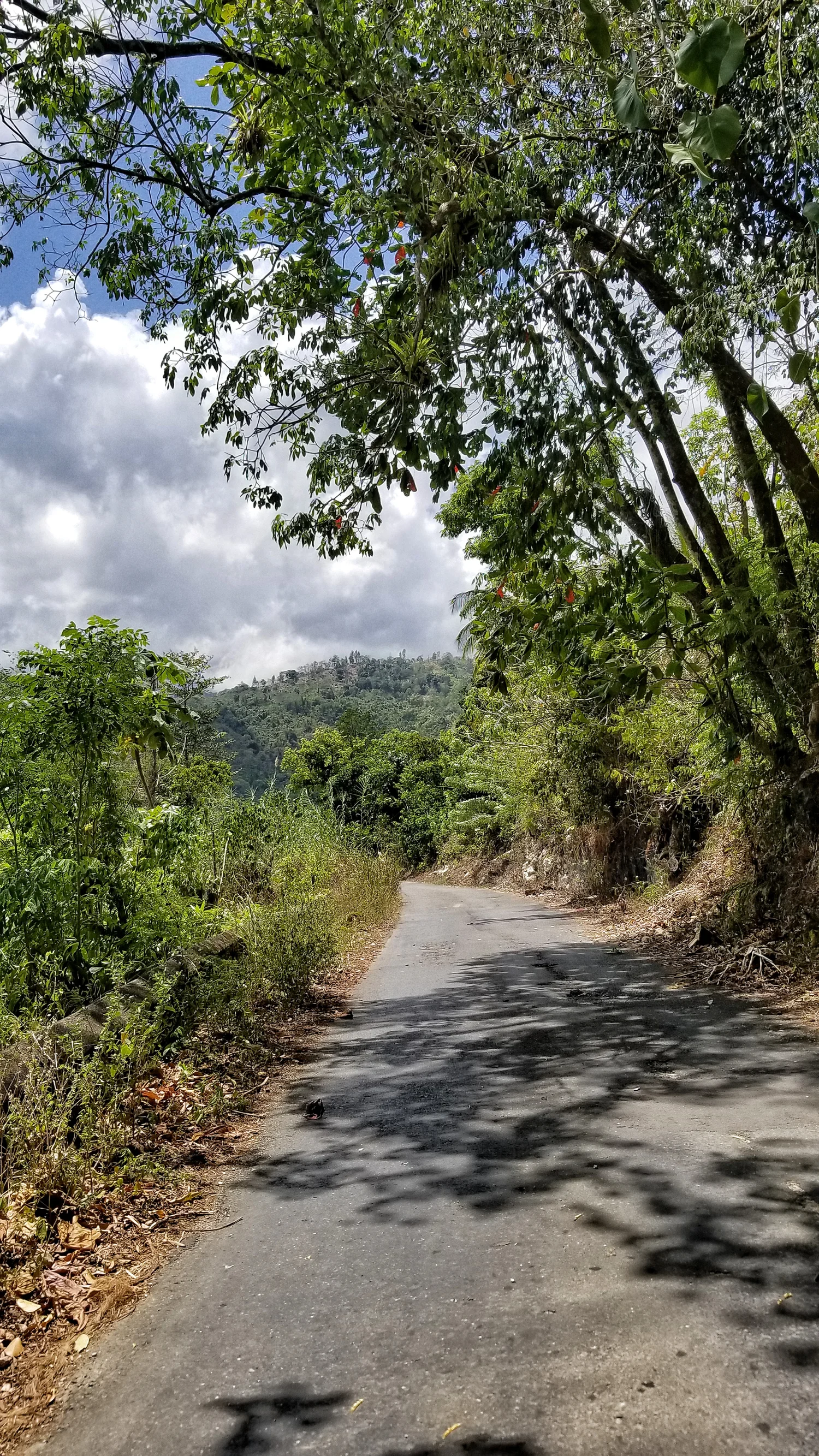 My First Visit to Big Dunn Falls in Chepstow Portland — Nature's Sweet ...
