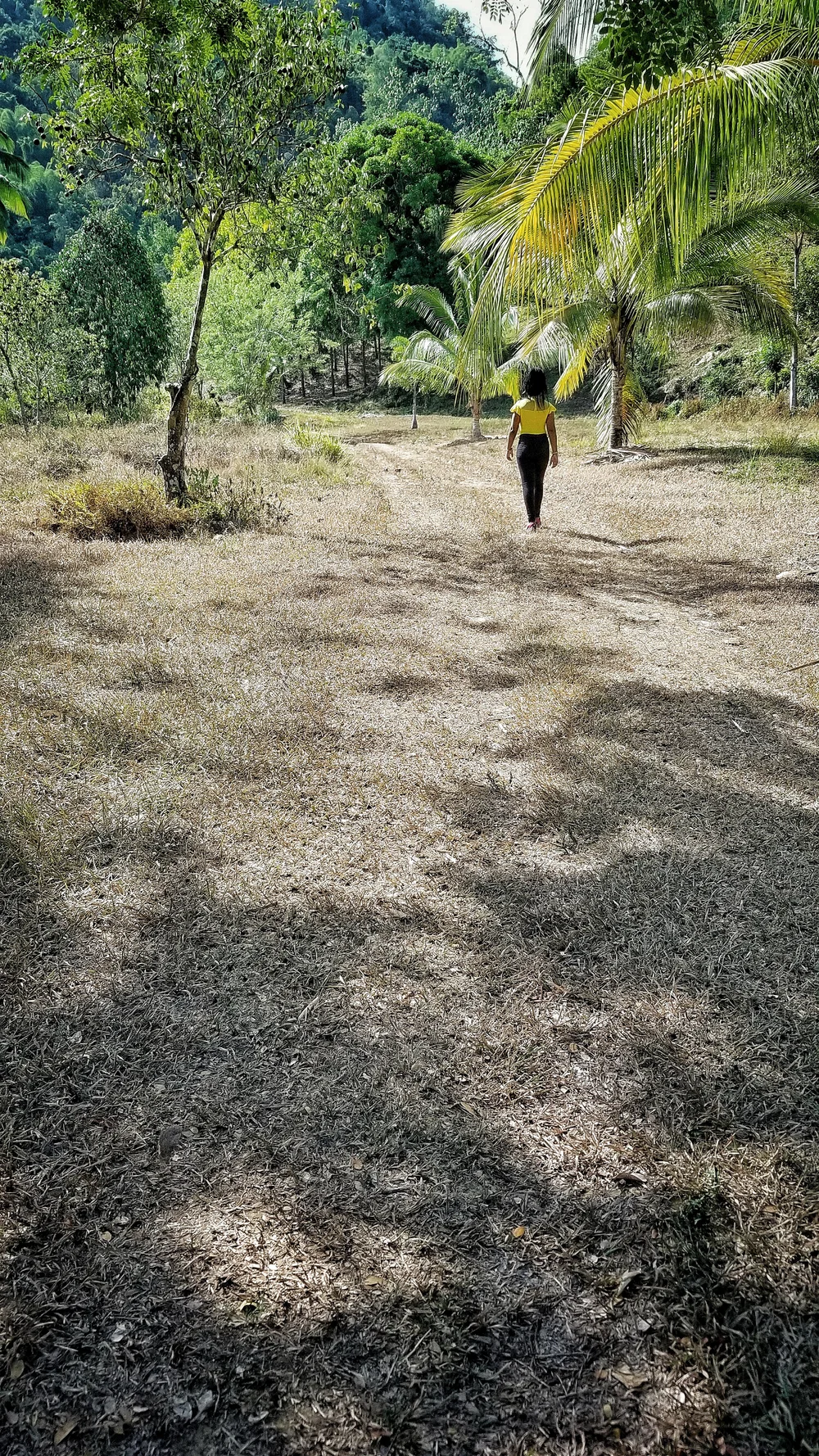 My First Visit to Big Dunn Falls in Chepstow Portland — Nature's Sweet ...