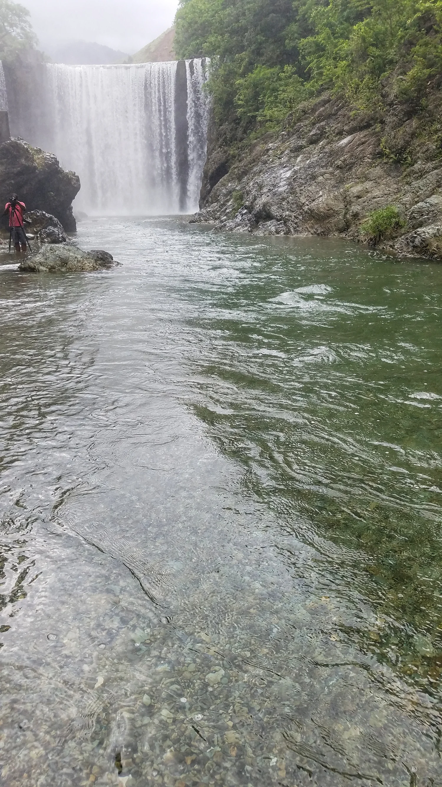 Returing to Reggae Falls — Nature's Sweet Escapes