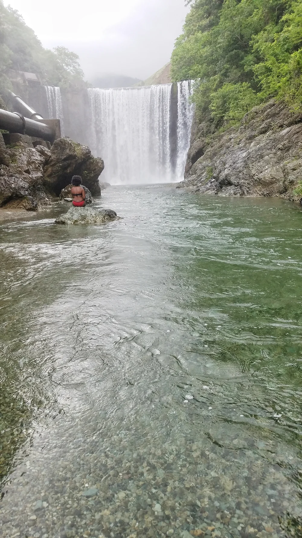 Returing to Reggae Falls — Nature's Sweet Escapes