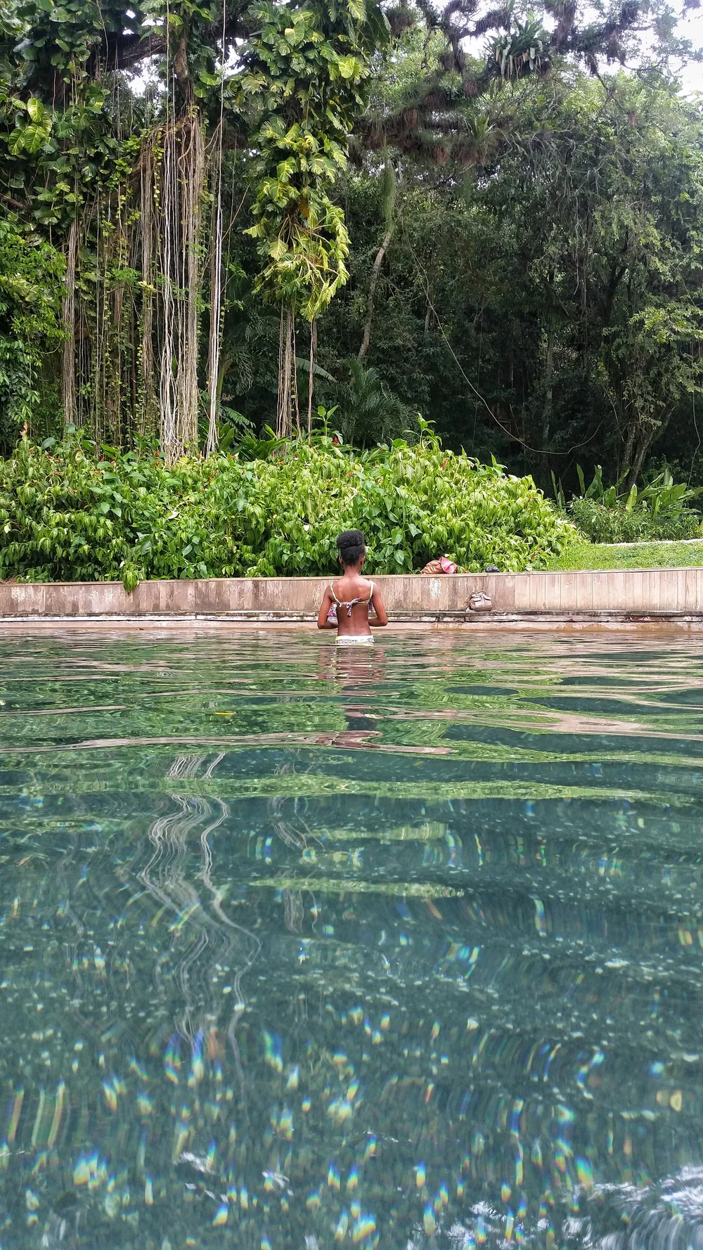 The unmistakable Beauty of Y.S Falls — Nature's Sweet Escapes