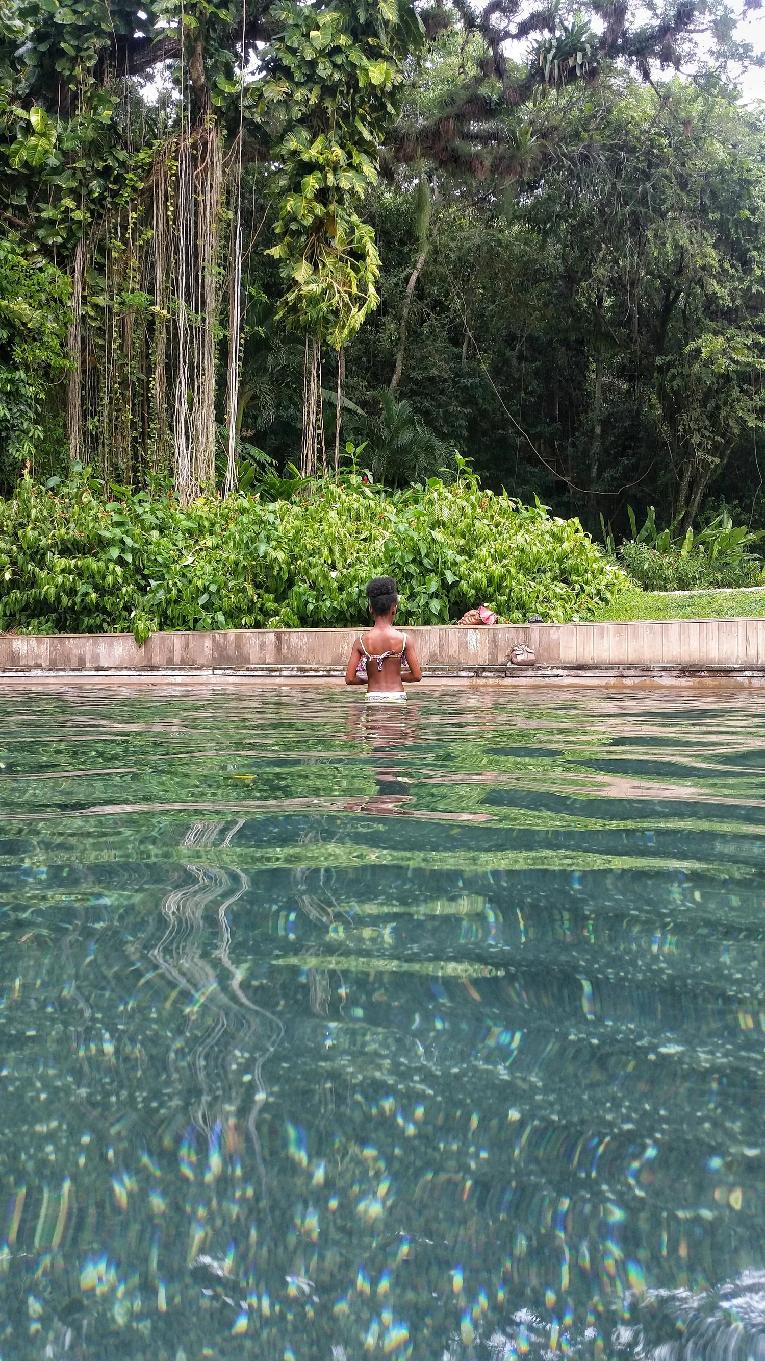 The unmistakable Beauty of Y.S Falls — Nature's Sweet Escapes