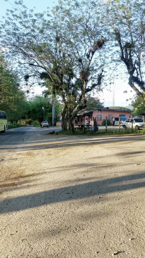 The unmistakable Beauty of Y.S Falls — Nature's Sweet Escapes