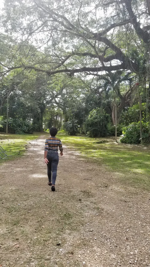 A voyage to Breadnut Valley Falls in St.Elizabeth — Nature's Sweet Escapes