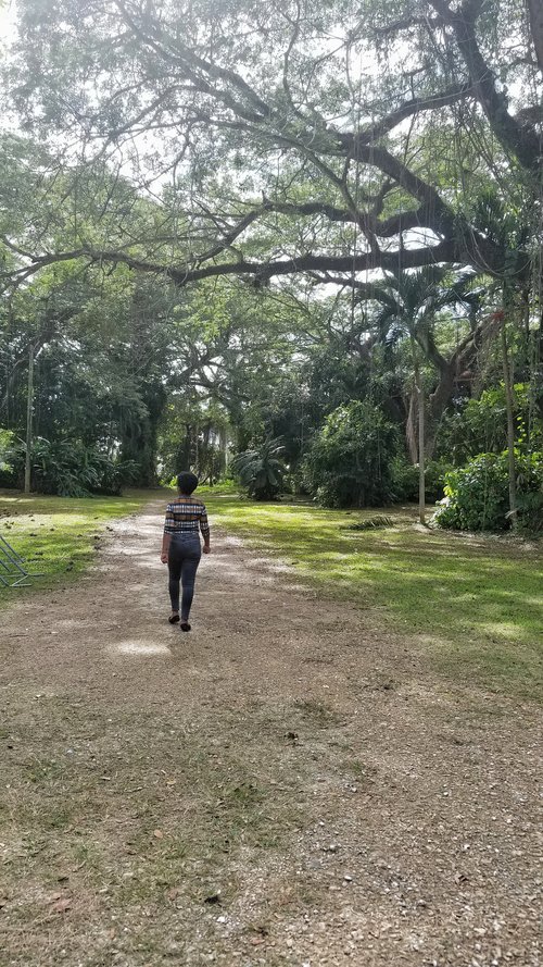 A voyage to Breadnut Valley Falls in St.Elizabeth — Nature's Sweet Escapes