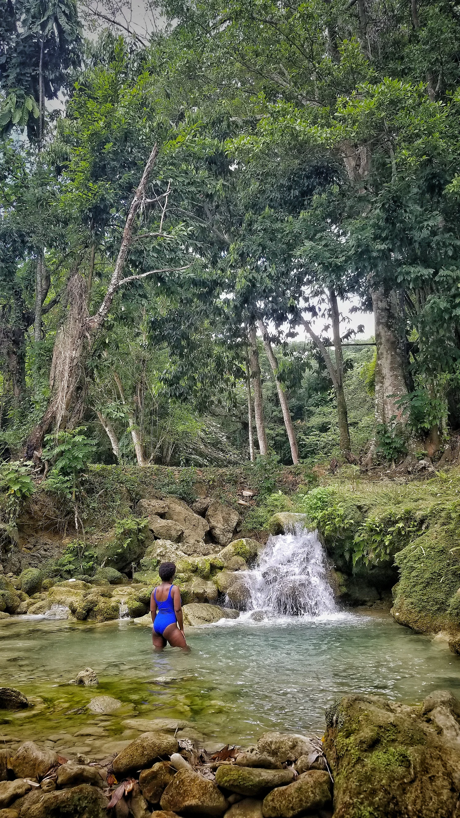 A voyage to Breadnut Valley Falls in St.Elizabeth — Nature's Sweet Escapes