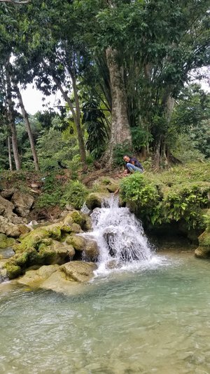 A voyage to Breadnut Valley Falls in St.Elizabeth — Nature's Sweet Escapes