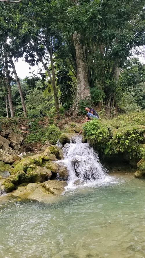 A voyage to Breadnut Valley Falls in St.Elizabeth — Nature's Sweet Escapes