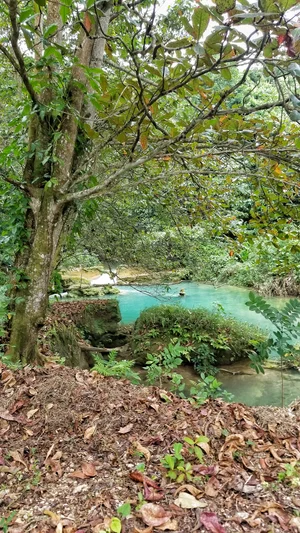 A voyage to Breadnut Valley Falls in St.Elizabeth — Nature's Sweet Escapes