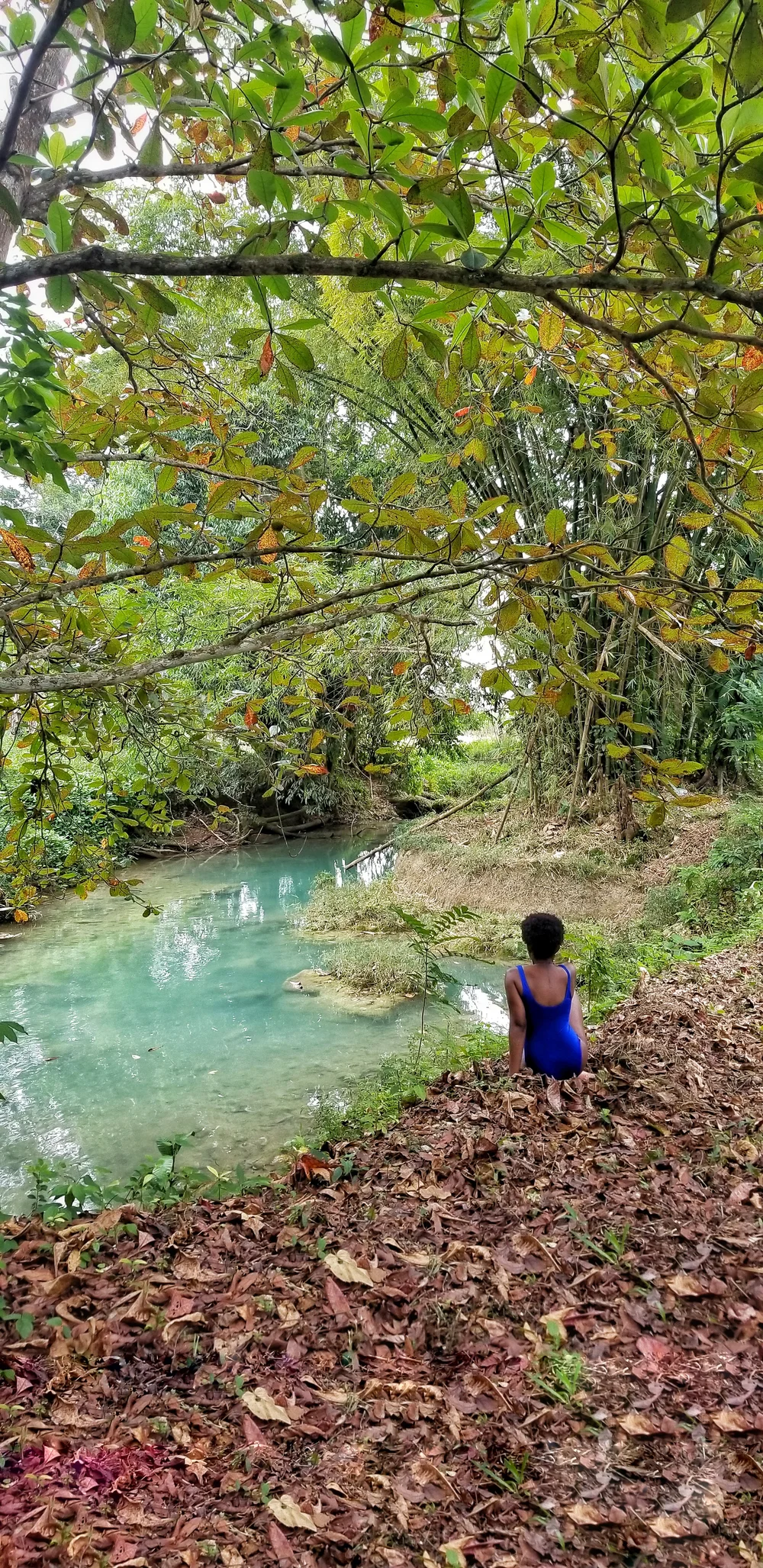 A voyage to Breadnut Valley Falls in St.Elizabeth — Nature's Sweet Escapes