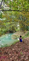 A voyage to Breadnut Valley Falls in St.Elizabeth — Nature's Sweet Escapes