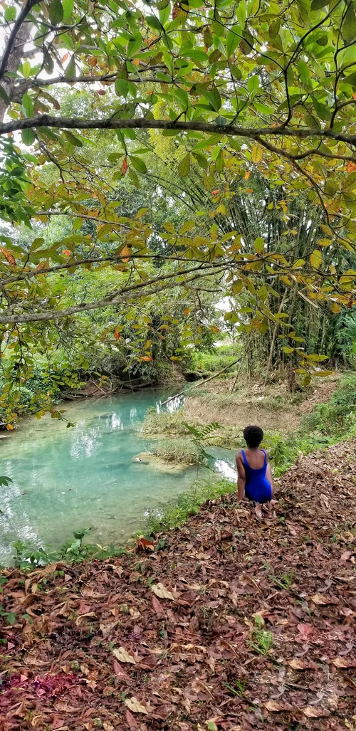 A voyage to Breadnut Valley Falls in St.Elizabeth — Nature's Sweet Escapes