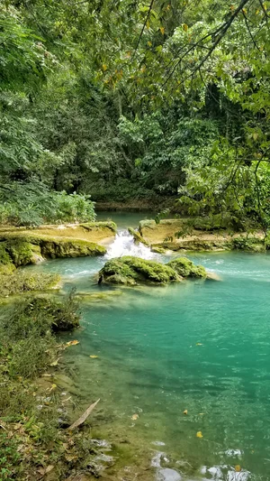 A voyage to Breadnut Valley Falls in St.Elizabeth — Nature's Sweet Escapes