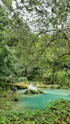A voyage to Breadnut Valley Falls in St.Elizabeth — Nature's Sweet Escapes