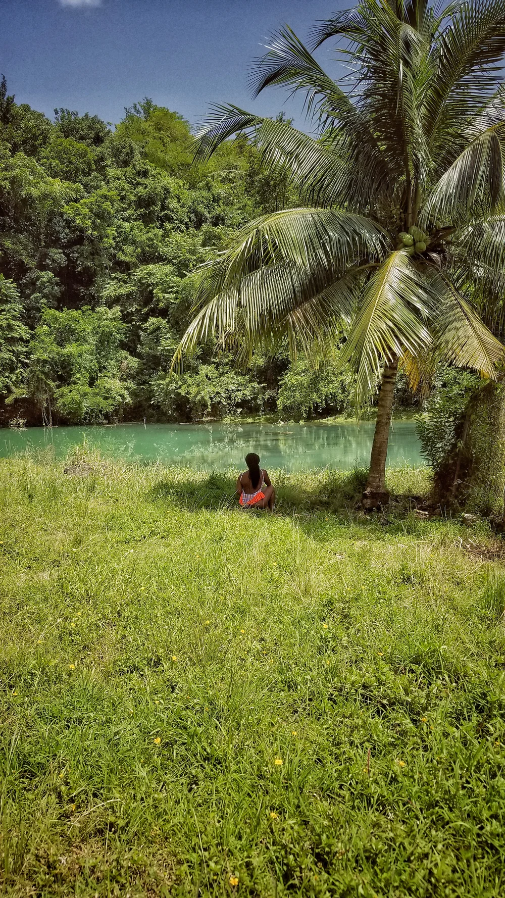 Exploring Blue River in Williamsfield St.Elizabeth — Nature's Sweet Escapes