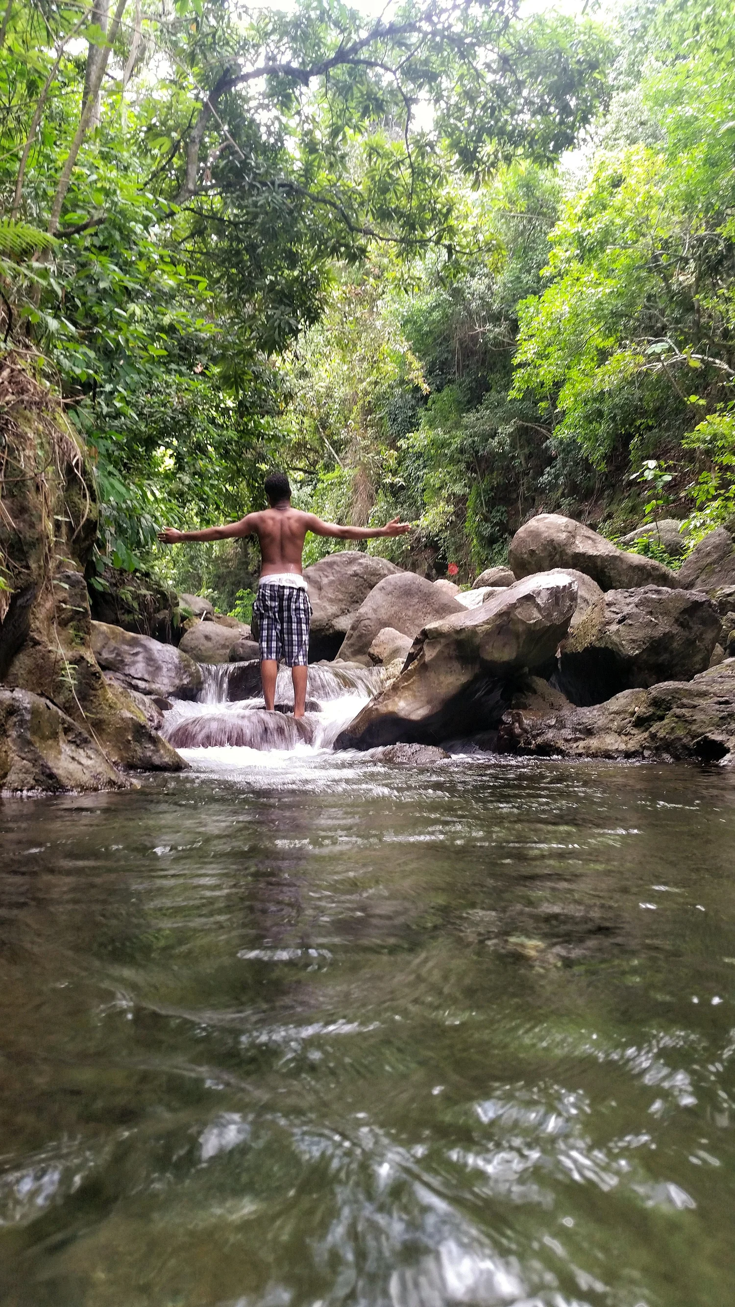 Searching for Burrel Waterfall in Gordon Town St.Andrew — Nature's ...