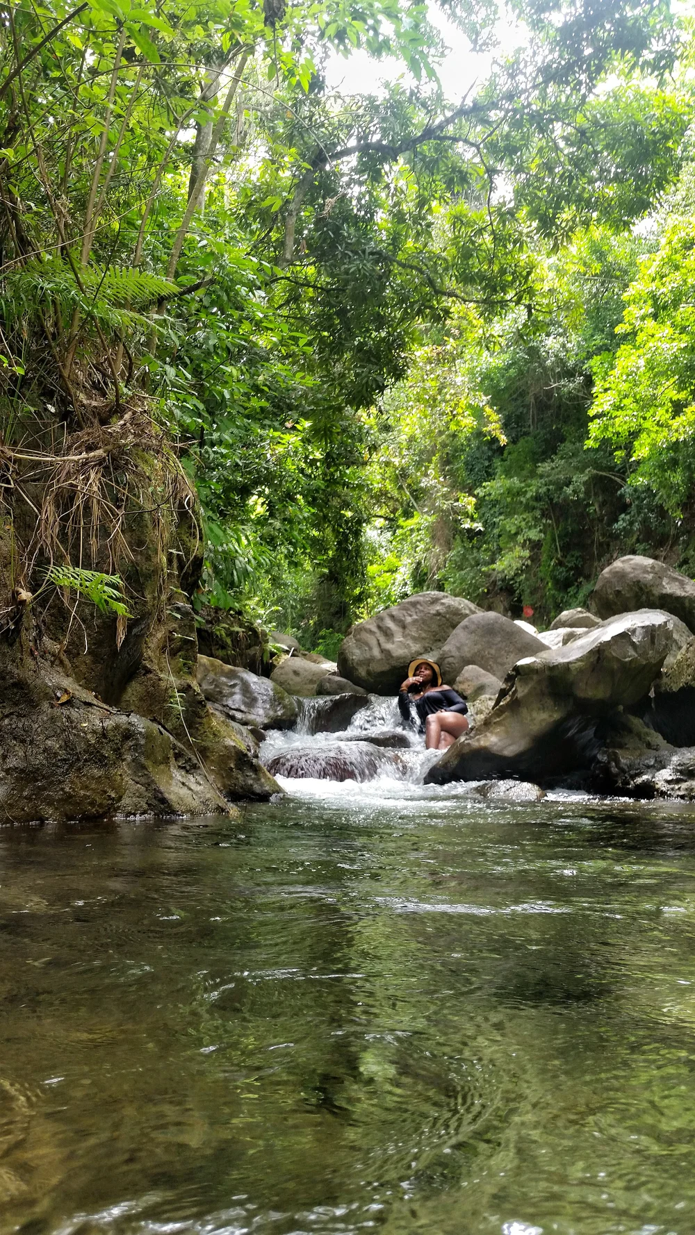 Searching for Burrel Waterfall in Gordon Town St.Andrew — Nature's ...