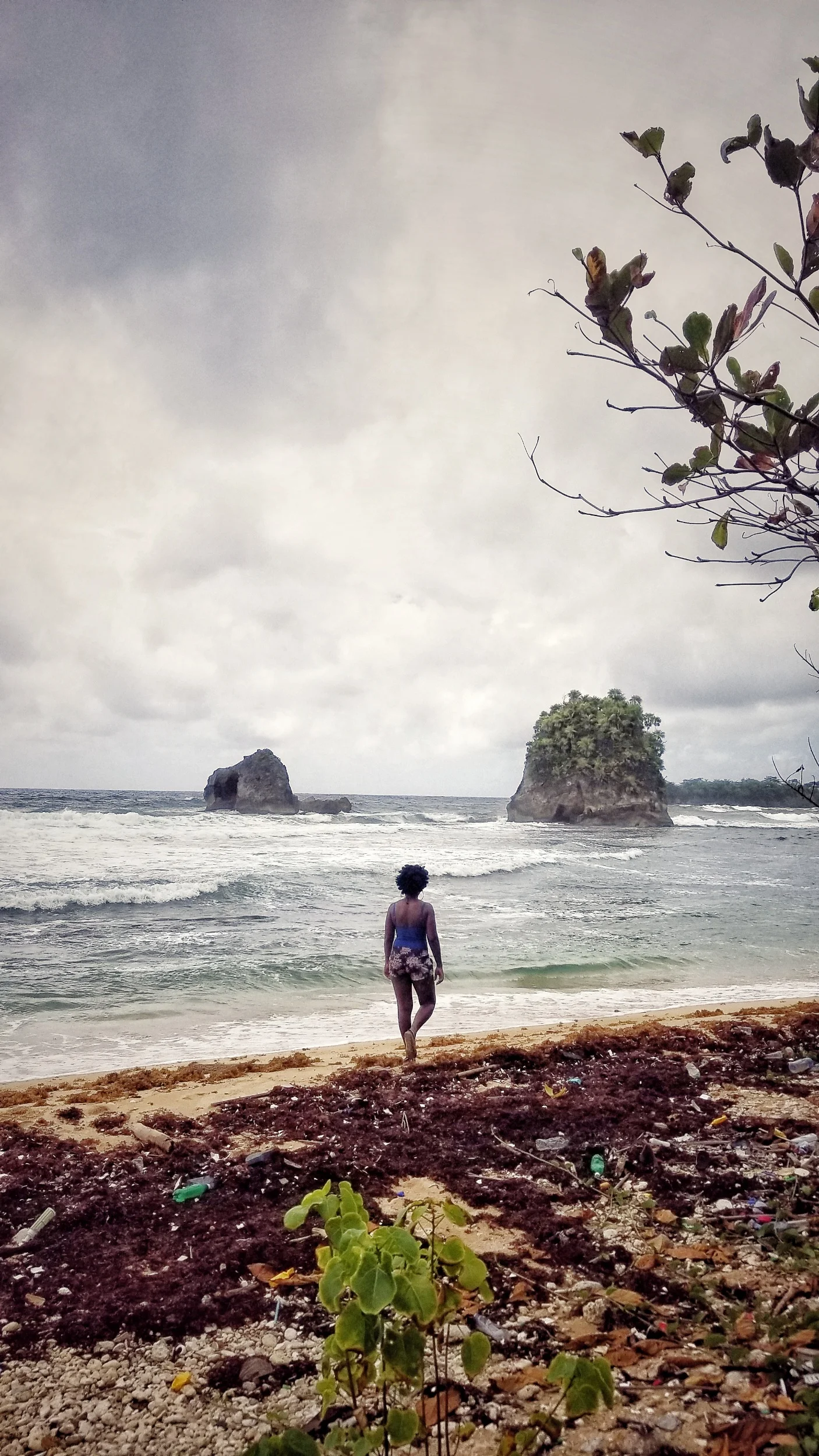 So Many Reasons to visit Turtle Bay in Long Road Portland — Nature's ...