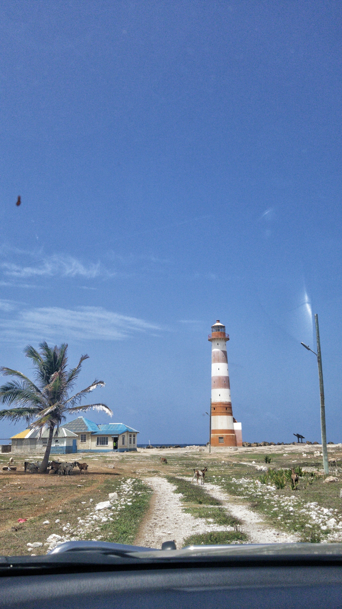 So, My trip to the Lighthouse in Morant Bay was incredible — Nature's ...