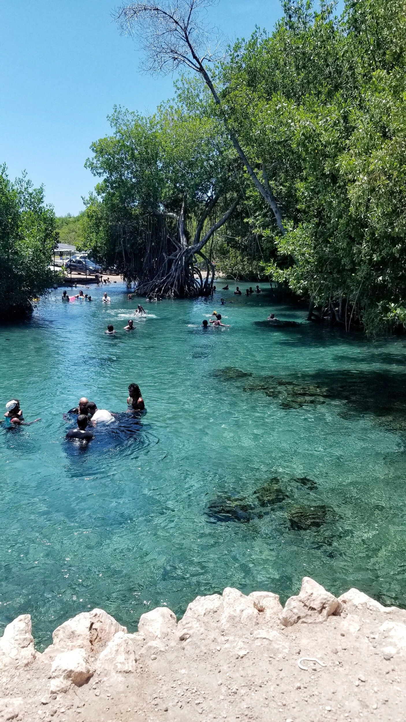 Salt River: A must visit spot in Clarendon v — Nature's Sweet Escapes