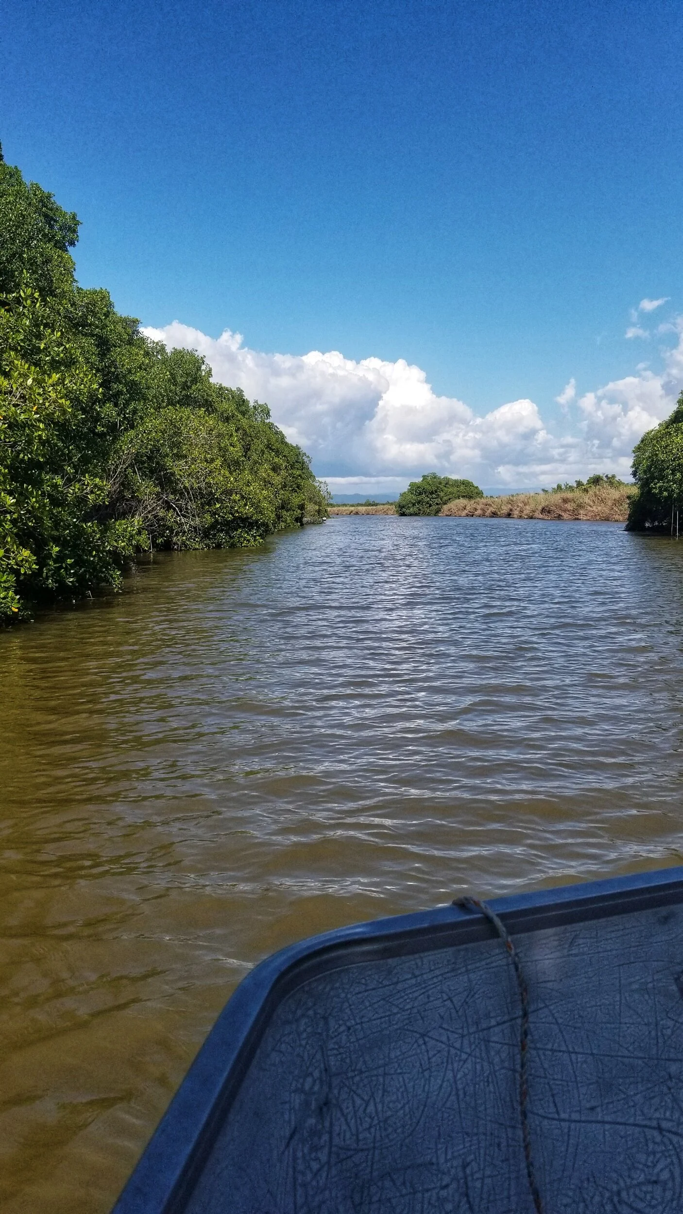 Black River: My first Safari Tour Experience — Nature's Sweet Escapes