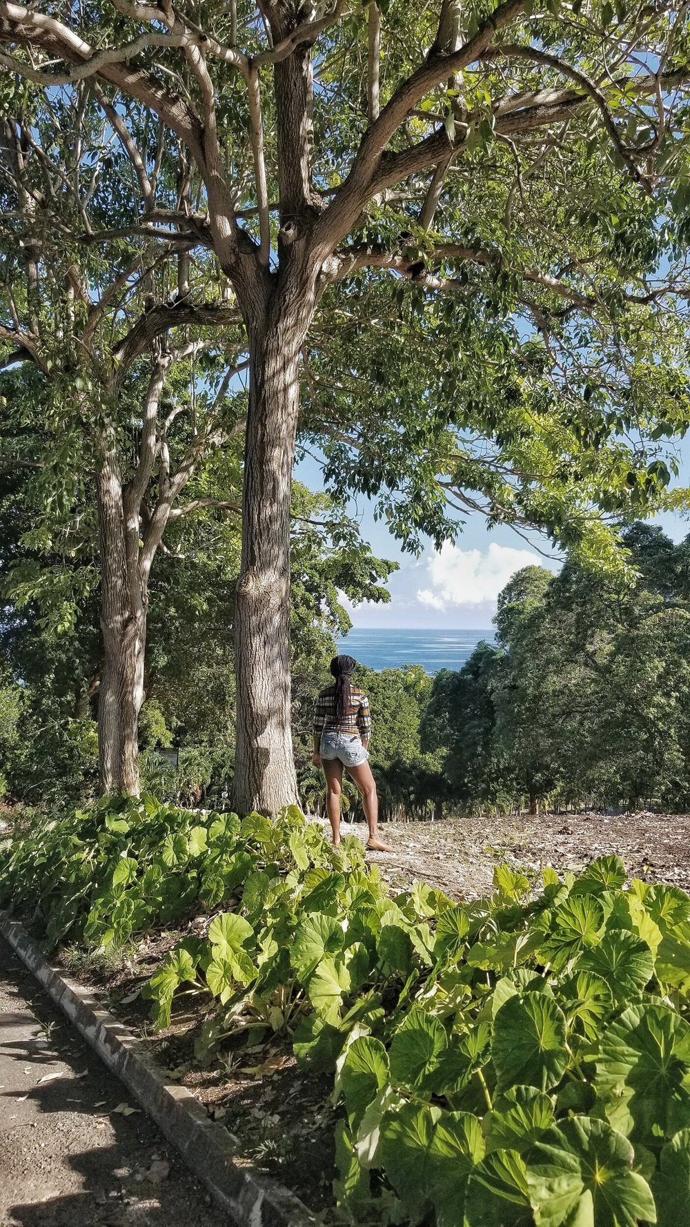 I cant believe I underestimated the Beauty of Dunn's River Waterfall ...