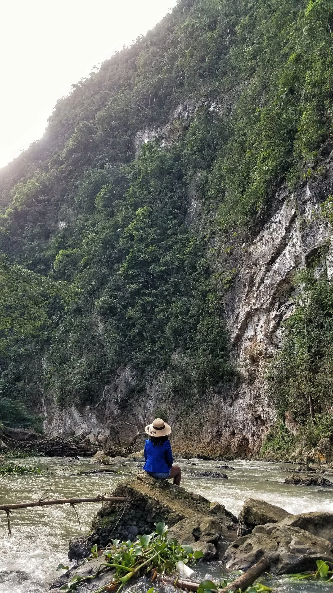 Exploring Hydroelectric Power Plant on the Rio Cobre River — Nature's ...