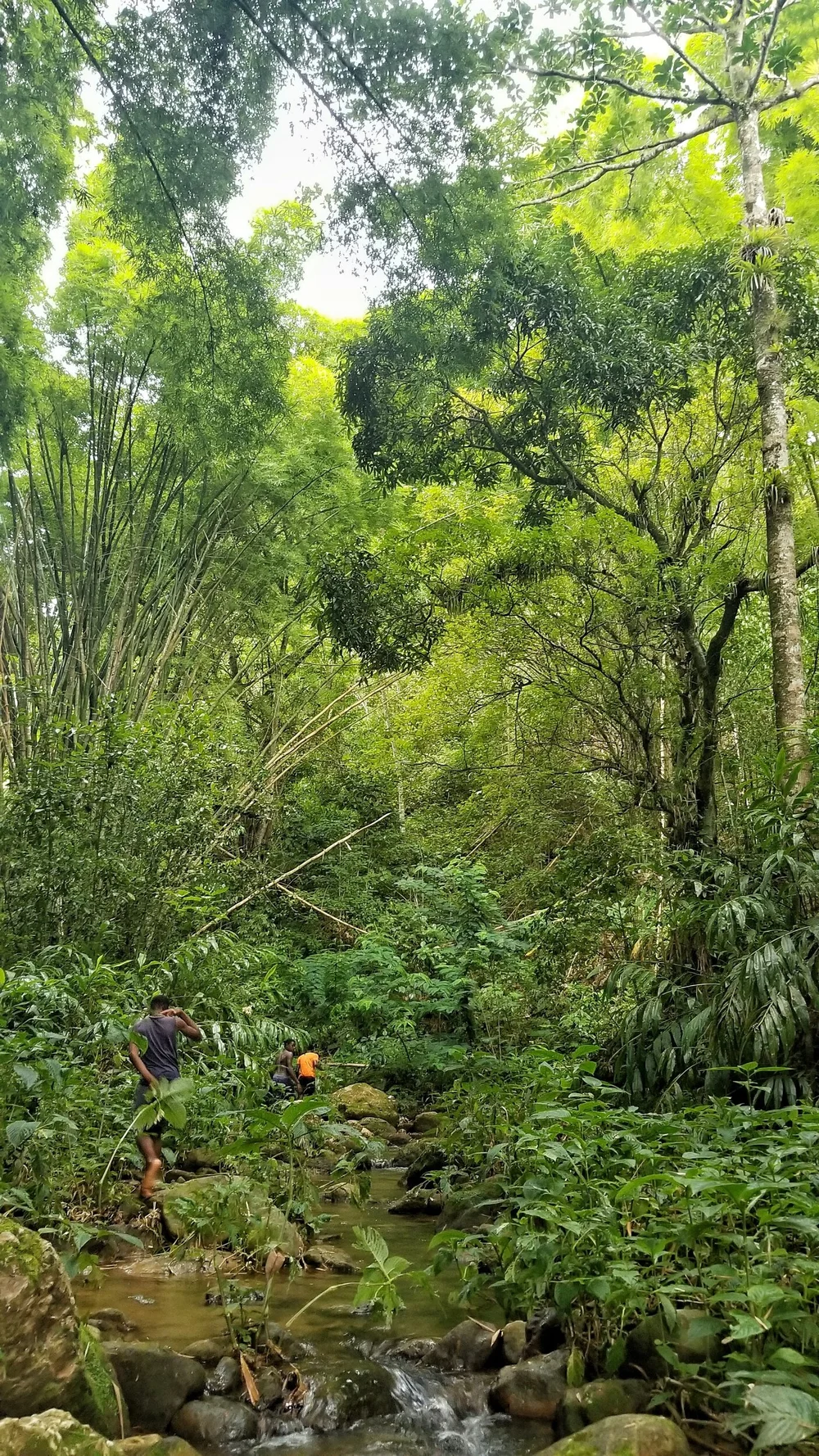 Joe Hut Waterfall: An Epic Hideaway — Nature's Sweet Escapes