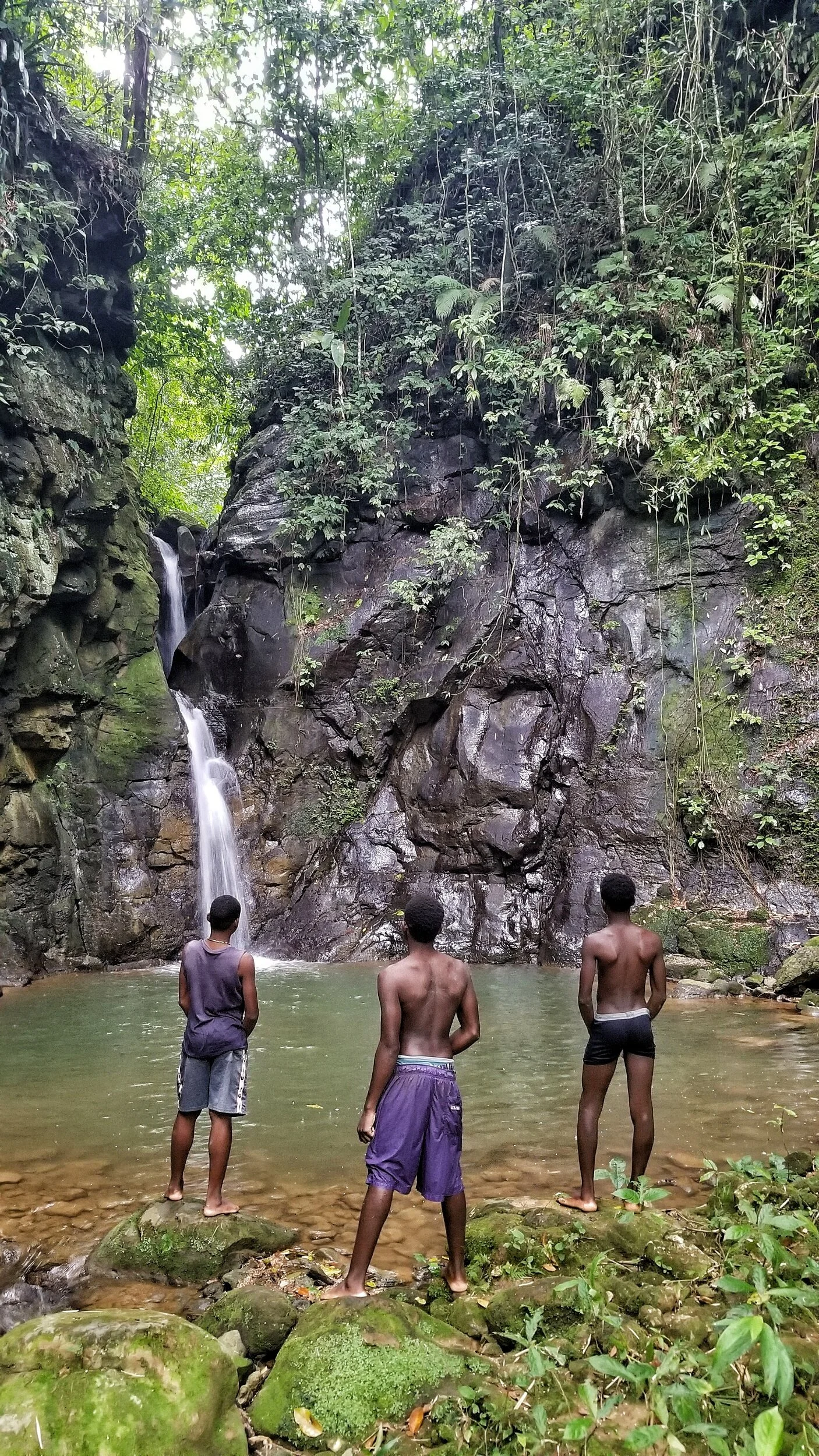 Joe Hut Waterfall: An Epic Hideaway — Nature's Sweet Escapes