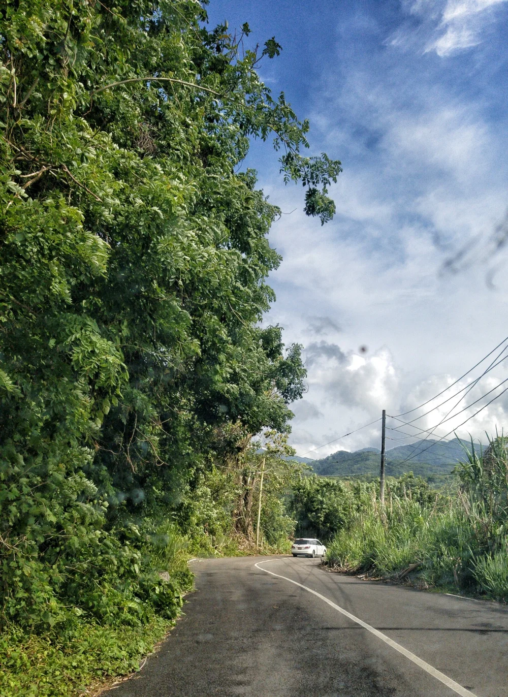 Another Hidden Gem: Sunning Hill Waterfall St.Thomas — Nature's Sweet ...