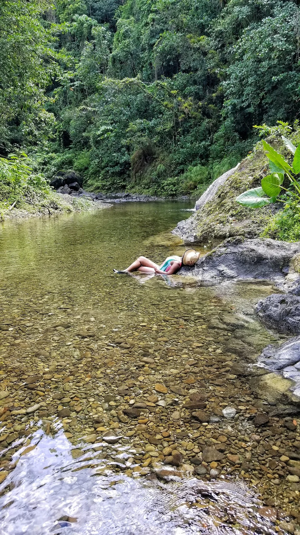 Another Hidden Gem: Sunning Hill Waterfall St.Thomas — Nature's Sweet ...