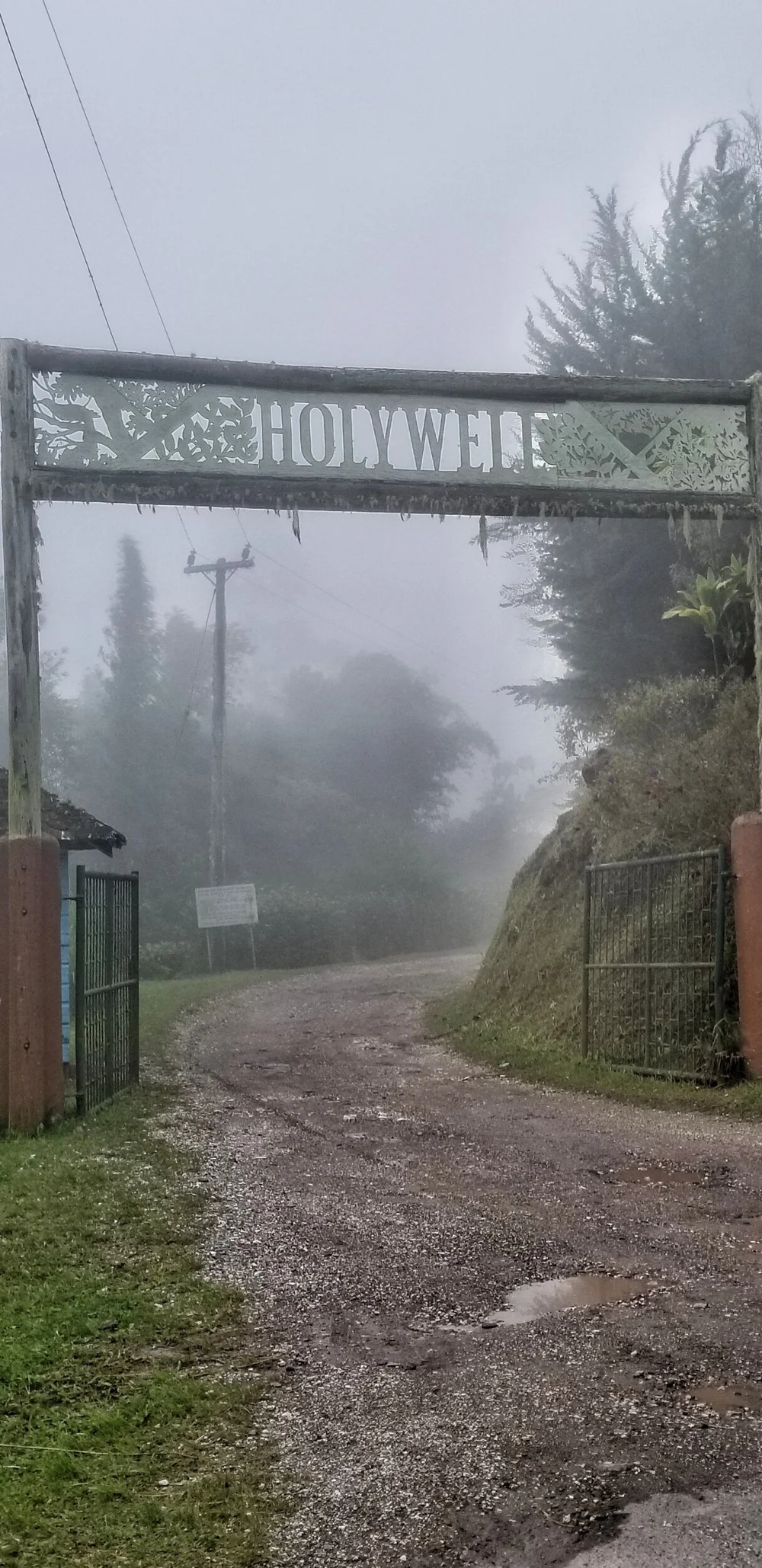 The Story of how I found Balcarres Waterfall — Nature's Sweet Escapes