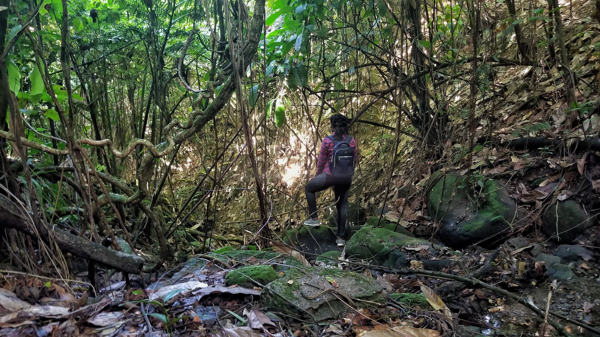 The Majestic Bernard Spring WaterFall — Nature's Sweet Escapes
